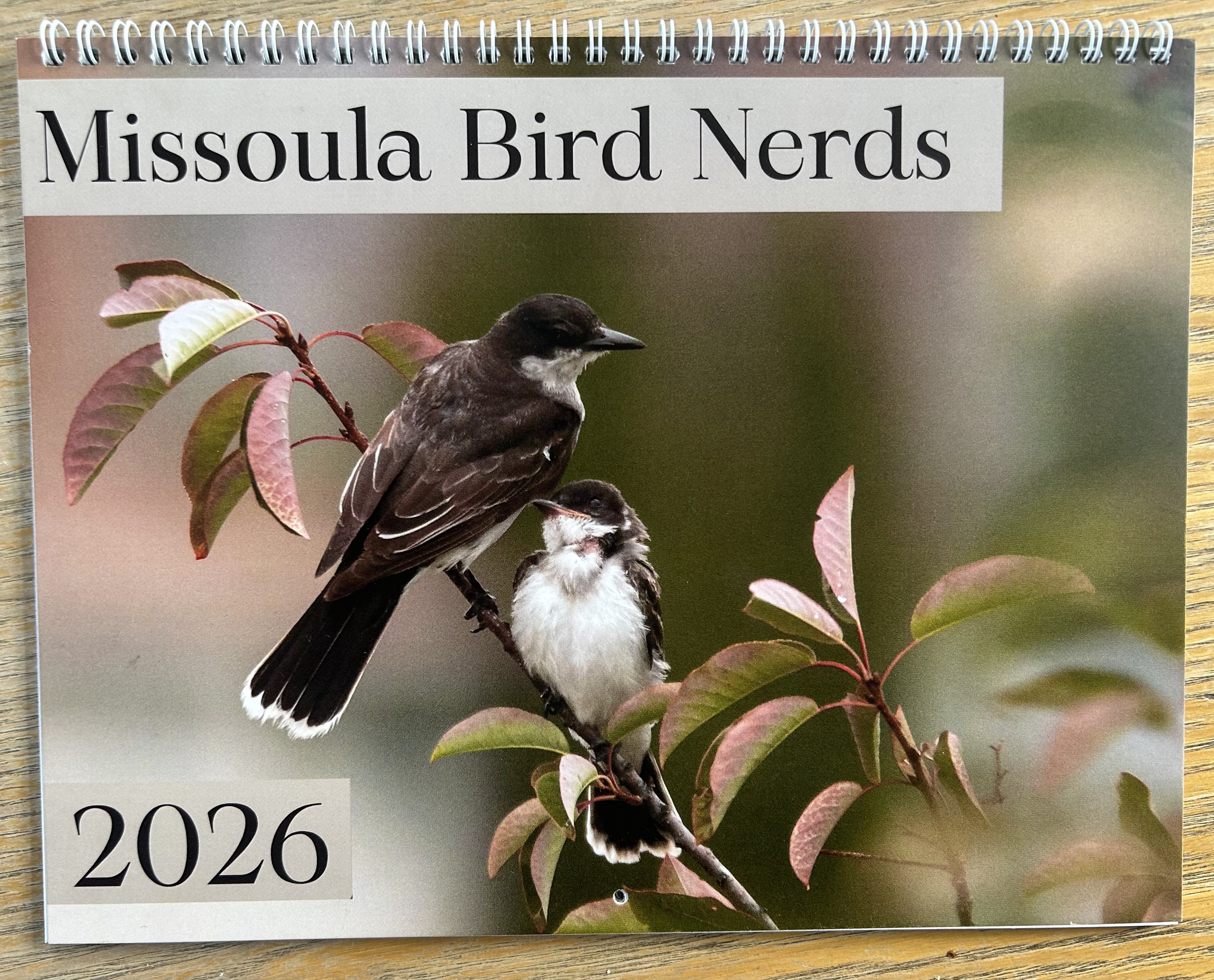 Missoula Bird Nerd Calender for Sale!!! – Missoula Bird Nerds
