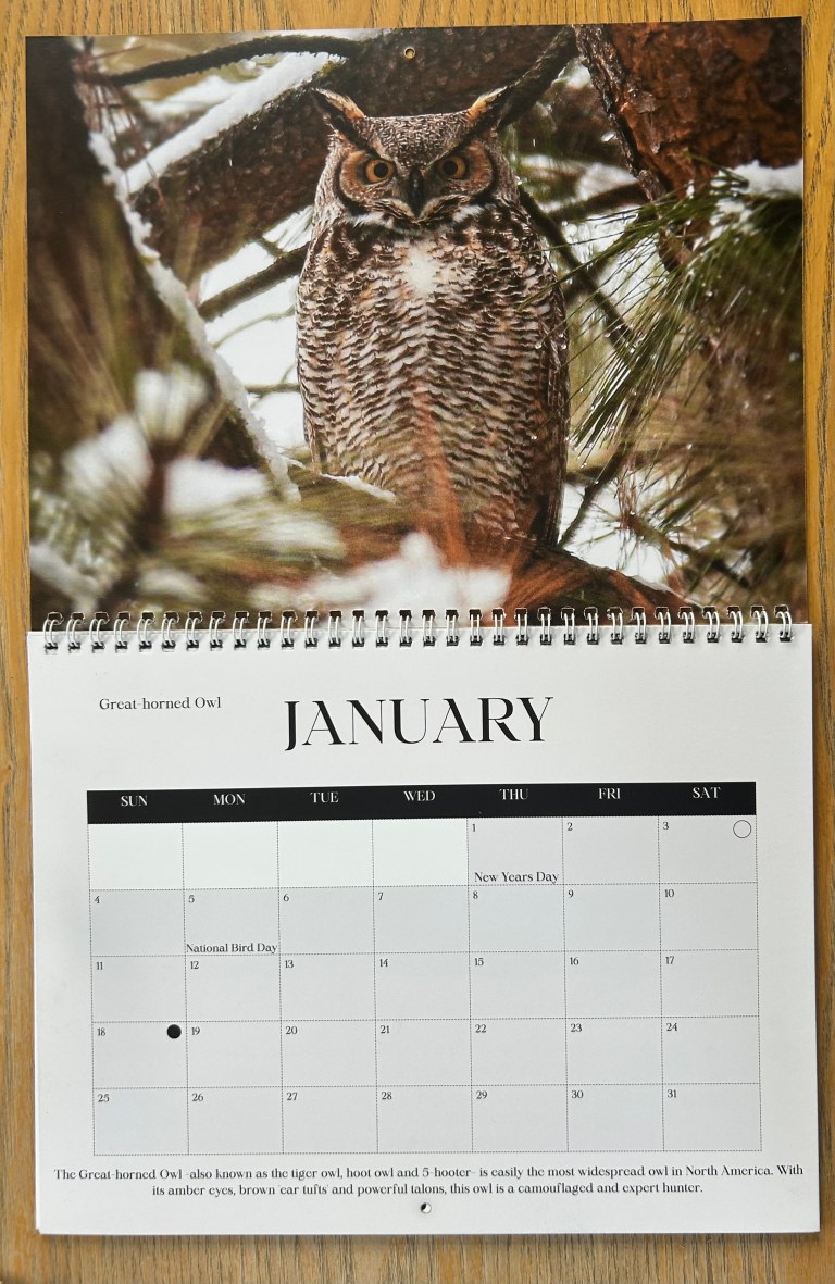 Missoula Bird Nerd Calender for Sale!!! – Missoula Bird Nerds
